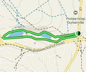 Majik Forest Walking Trail: 157 Reviews, Map - Western Cape, South ...