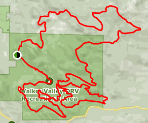 Walker Valley OHV Trail Loop - Washington | AllTrails
