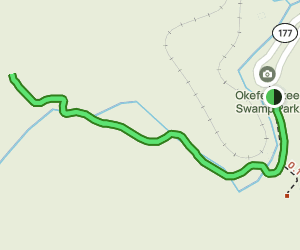 Okefenokee Swamp: 15 Reviews, Map - Georgia | AllTrails