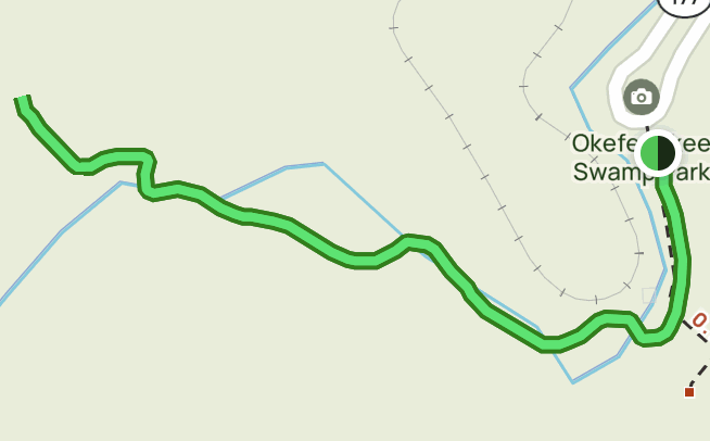 Okefenokee Swamp Map