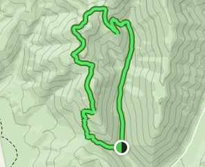 Taylor Canyon Loop, Idaho - 588 Reviews, Map | AllTrails