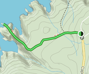 Cape Flattery Trail: 1789 Reviews, Map - Washington | AllTrails