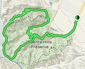 Ahwingna and Native Oak Loop Trail: 2.261 foto - California | AllTrails