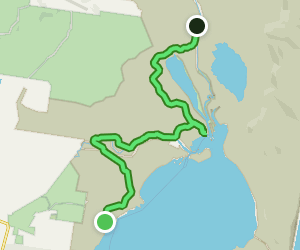 Cooloola Wilderness Trail: Elanda Point Park to Harry's Hut: 6 Reviews ...