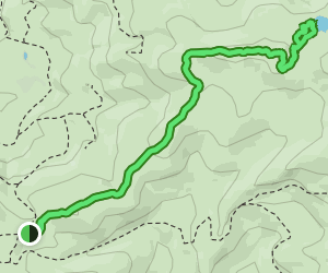Brewer Lake OHV Trail: 64 Reviews, Map - California | AllTrails