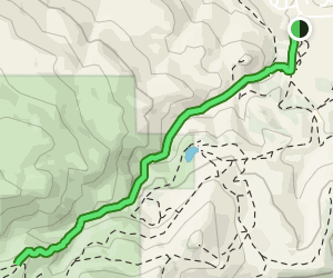 Alum Creek Trail: 216 Reviews, Map - Nevada | AllTrails