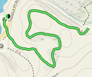 Ben Grussendorf Forest and Muskeg Trail - Alaska | AllTrails