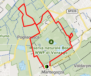 Riserva Bosco WWF di Vanzago | Mappa, Guida - Lombardy, Italy | AllTrails