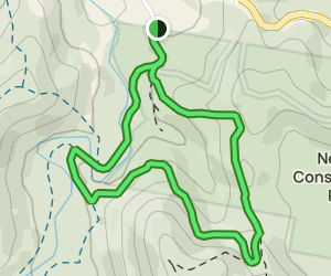 Nerang Conservation Park Loop: 55 Reviews, Map - Queensland, Australia ...