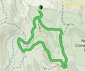 Nerang Conservation Park Loop: 175 foto - Queensland, Australia | AllTrails