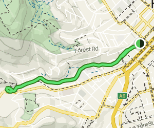 Cascade Gardens via Hobart Rivulet Track: 206 Reviews, Map - Tasmania ...