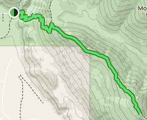 Easton Ridge Trail, Washington - 367 Reviews, Map | AllTrails