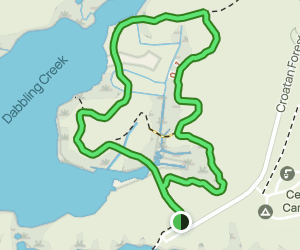 Cedar Point Tideland Trail: 534 Reviews, Map - North Carolina | AllTrails