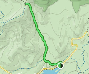 Bee Gulch from Chickadee Trailhead | Map, Guide - California | AllTrails