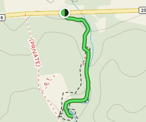 Drysdale Falls: 109 Reviews, Map - Nova Scotia, Canada | AllTrails