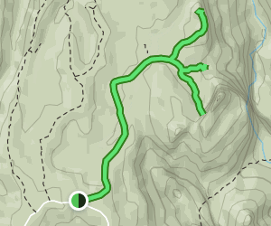 Asgard Swamp Track: 93 Reviews, Map - New South Wales, Australia ...