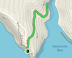 Akaroa Head Scenic Reserve Walk, Canterbury, New Zealand - 3 Reviews ...