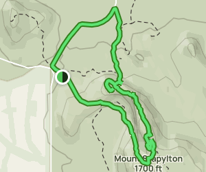 Mount Stapylton and Hollow Mountain Loop: 31 Reviews, Map - Victoria ...