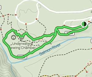 Cascade Streamwatch Trail: 183 Reviews, Map - Oregon | AllTrails