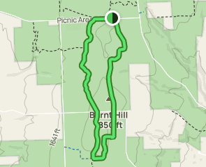 Burnt Hill and Interlaken Trails, New York - 223 Reviews, Map | AllTrails