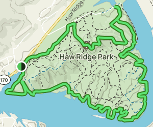 Haw Ridge Lake Trail: 844 Reviews, Map - Tennessee | AllTrails
