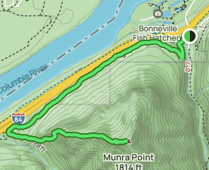 Munra Point via Gorge Trail #400 [CLOSED], Oregon - 310 Reviews, Map ...