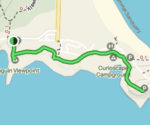 Curio Bay: Penguin Walk and Petrified Forest: 21 Reviews, Map ...