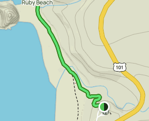 Ruby Beach, Washington - 1,338 Reviews, Map | AllTrails