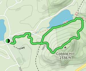 Cobble Hill: 2035 Reviews, Map - New York | AllTrails