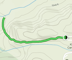 Caples Falls Trail: 23 Reviews, Map - California | AllTrails