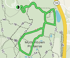 Chelsea Mansion and Muttontown Preserve Loop - New York | AllTrails