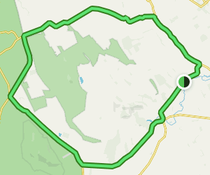 Greystoke Forest Loop: 3 Reviews, Map - Cumbria, England | AllTrails