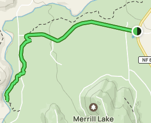 Kalama Falls Trail, Washington - 511 Reviews, Map | AllTrails