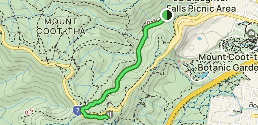 Are Dogs Allowed At Mt Coot Tha Lookout