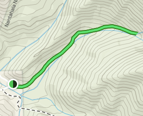 Alarka Creek Falls, North Carolina - 251 Reviews, Map | AllTrails
