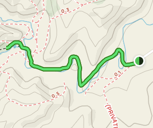 KaraKariki Falls Track: 33 Reviews, Map - Waikato, New Zealand | AllTrails