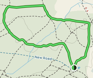 Blean Woods Green Trail Circular: 48 Reviews, Map - Kent, England ...