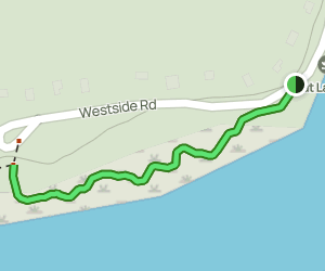 Black Moshannon Bog Trail: 63 Reviews, Map - Pennsylvania | AllTrails