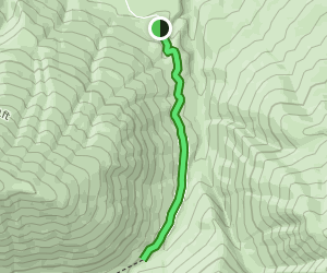 Cedar Falls Trail: 247 Reviews, Map - Washington | AllTrails