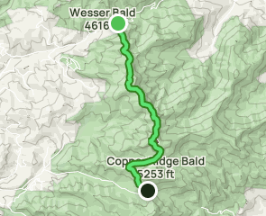 Appalachian Trail: Tellico Gap to Burningtown Gap: 201 fotos - Carolina ...