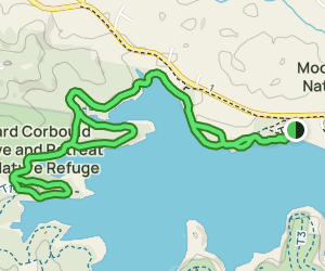 Ewan Maddock Dam Main Track and Brown Loop: 250 Reviews, Map ...