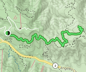 Table Mountain Trail (4N21): 92 Reviews, Map - California | AllTrails