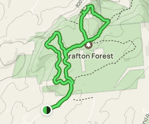 Grafton Forest Figure 8 Trail: 42 Reviews, Map - New York | AllTrails