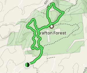 Grafton Forest Figure 8 Trail: 42 Reviews, Map - New York | AllTrails