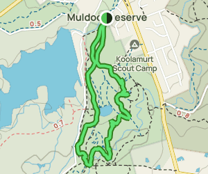 Spring Gully MTB Loop: 25 Reviews, Map - Victoria, Australia | AllTrails