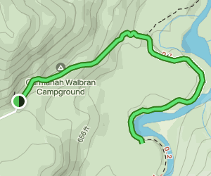 Carmanah Valley Trail to Heaven Tree: 25 Reviews, Map - British ...
