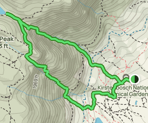 Nursery Ravine via Skeleton Gorge: 188 Reviews, Map - Western Cape ...