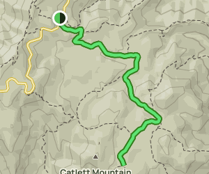 Hazel Mountain Trail: 64 Reviews, Map - Virginia | AllTrails