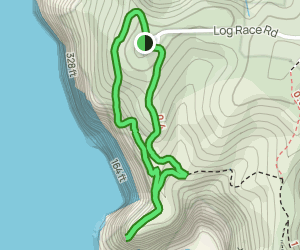 Mercer Bay Loop Track: 347 Reviews, Map - Auckland, New Zealand | AllTrails