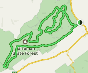 Yarraman State Forest OHV Loop: 4 Reviews, Map - Queensland, Australia ...